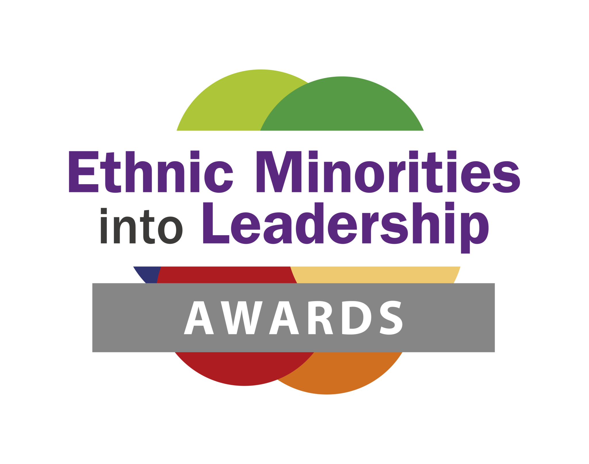 Ethnic Minorities into Leadership - Categories - Leadership Awards